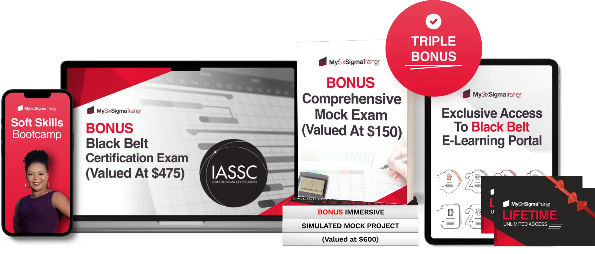 Lean Six Sigma offer - My Six Sigma Trainer